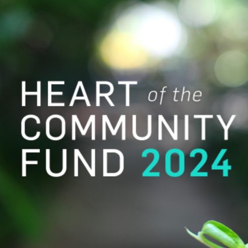 Funding | CAP Arts Centre